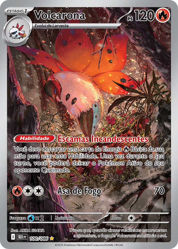 Volcarona (100/086) | Pokémon | MYP Cards