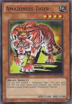Amazoness | Deck | MYP Cards