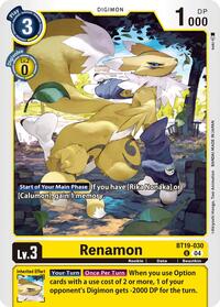 Renamon | Digimon | MYP Cards